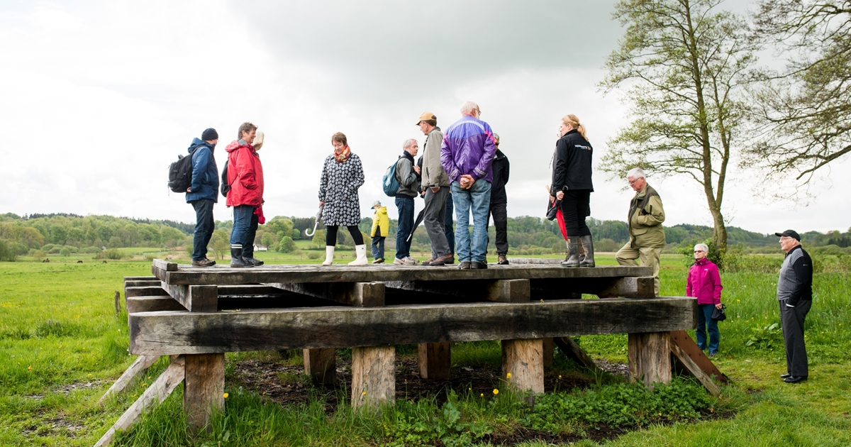Rundvisning ved Ravningbroen - Vejlemuseerne